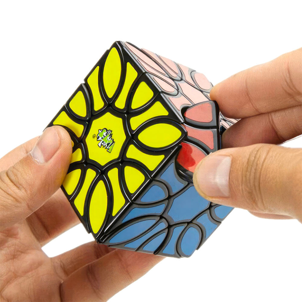 Rubik's Cube LanLan Sunflower & Cube Store